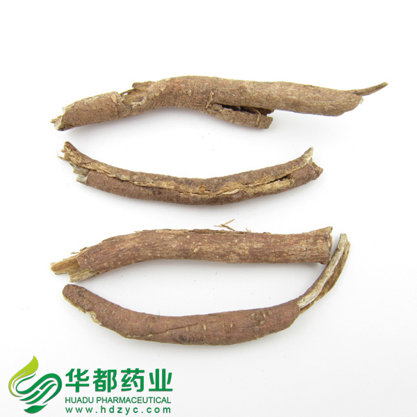 Cortex Acanthopanacis / 五加皮 / Wu Jia Pi - Buy Chinese herbs Product on ...