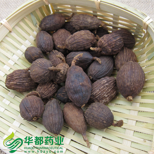 Fructus Tsaoko / 草果 / Cao Guo - Buy Chinese herbs Product on HEBEI ...